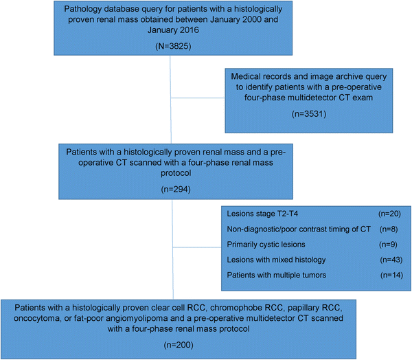 Quantitative computer-aided diagnostic algorithm for automated detection of peak lesion ...