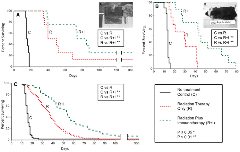 Therapy model for advanced intracerebral B16 mouse melanoma using ...
