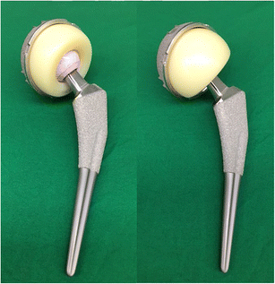 Dislocations after use of dual-mobility cups in cementless primary ...