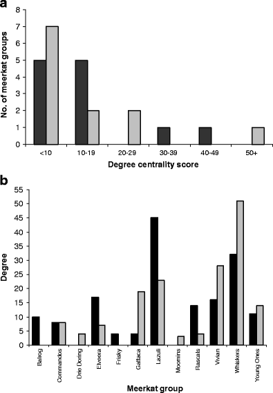 The social network structure of a wild meerkat population: 1. Inter ...