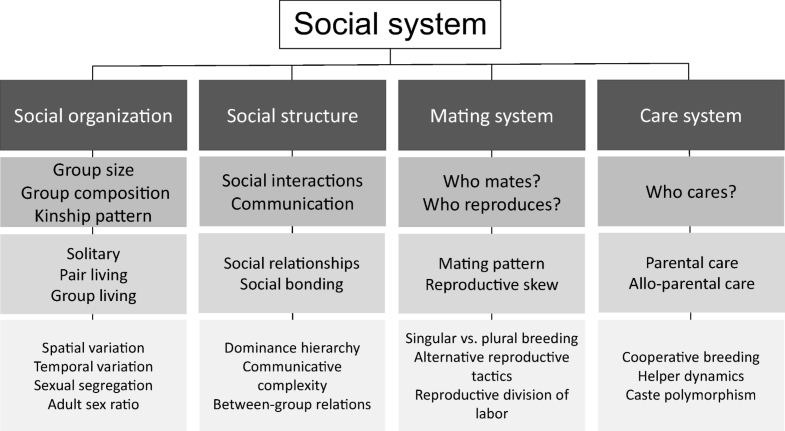 A framework for studying social complexity | SpringerLink