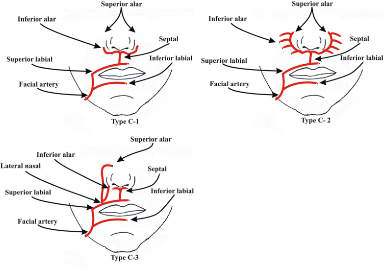 A detailed observation of variations of the facial artery, with ...