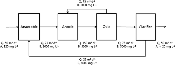 Comparison of the Bacterial Communities in Anaerobic, Anoxic, and Oxic ...