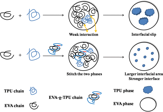 Compatibilization and properties of ethylene vinyl acetate copolymer ...