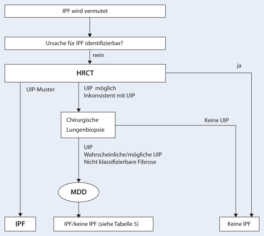 Interstitielle Lungenerkrankungen | SpringerLink