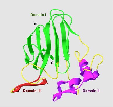 The superfamily of thaumatin-like proteins: its origin, evolution, and ...