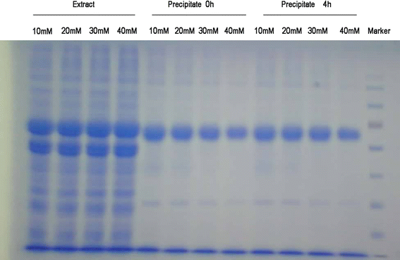 Transgenic rice endosperm as a bioreactor for molecular pharming ...