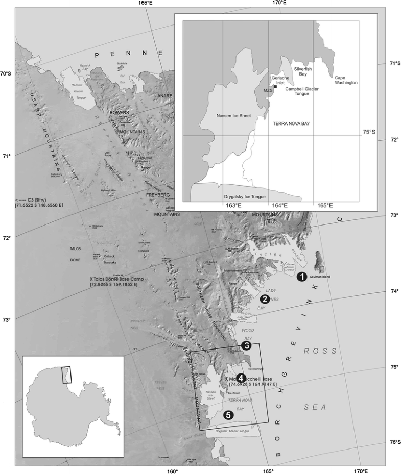 A nursery area for the Antarctic silverfish Pleuragramma antarcticum at ...