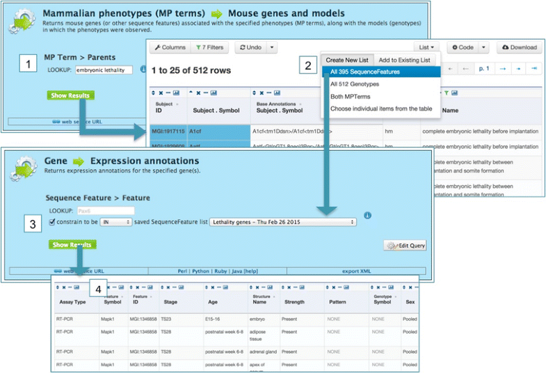 MouseMine: a new data warehouse for MGI | SpringerLink