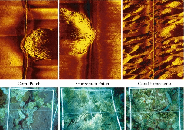 The effects of minimum map unit in coral reefs maps generated from high ...