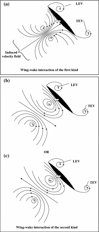 Effect of wing–wake interaction on aerodynamic force generation on a 2D ...