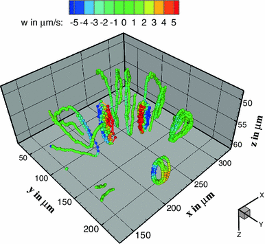 Higher order multi-frame particle tracking velocimetry | SpringerLink