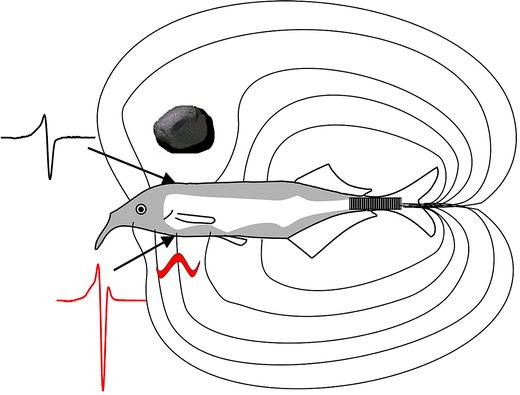 Non-visual environmental imaging and object detection through active ...