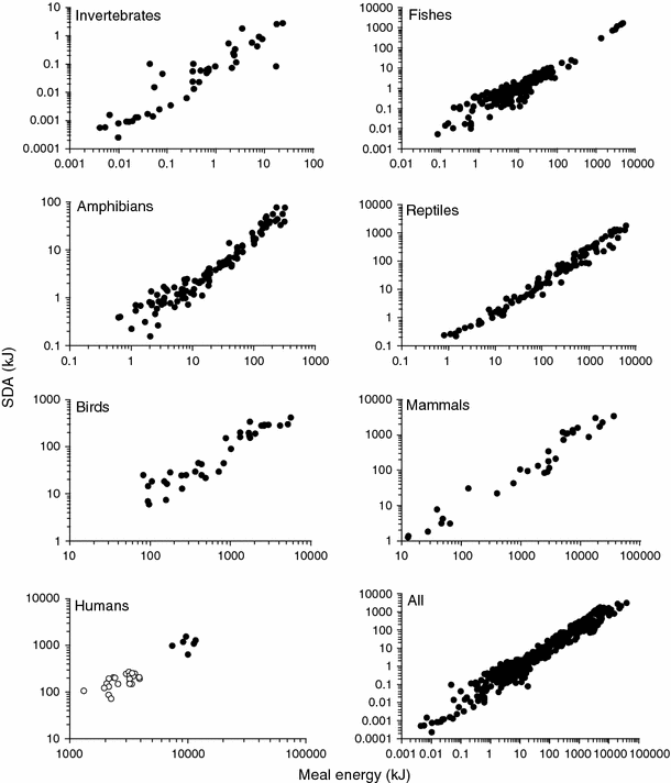 Specific dynamic action: a review of the postprandial metabolic ...