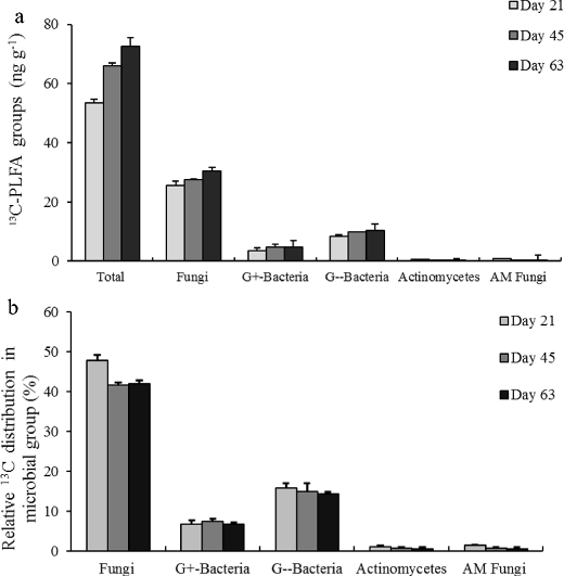 Microbial utilization of rice root exudates: 13C labeling and PLFA ...