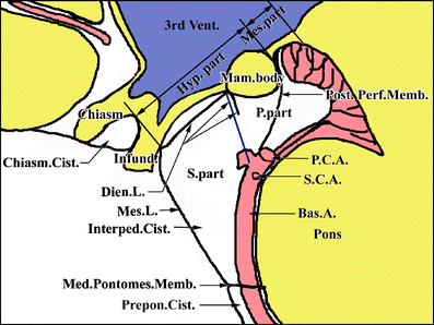 Microsurgical study of the interpeduncular cistern and its ...