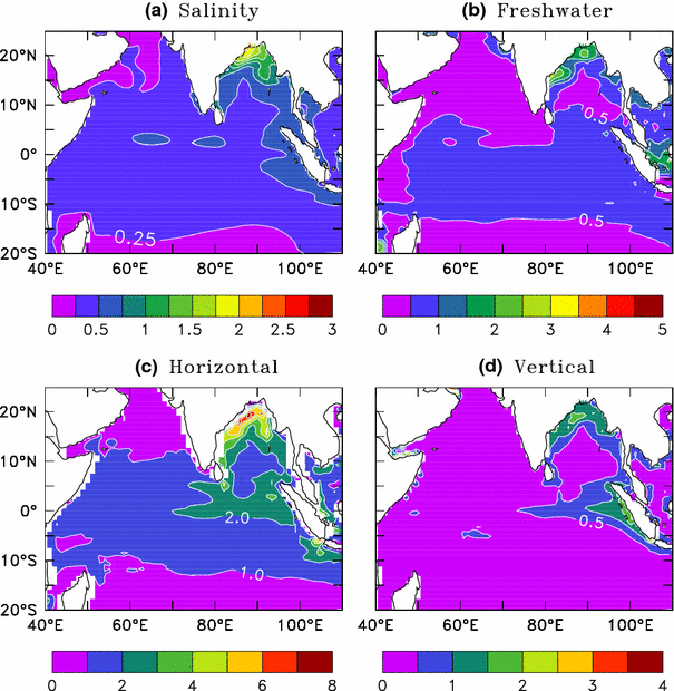 Indian Ocean sea surface salinity variations in a coupled model ...