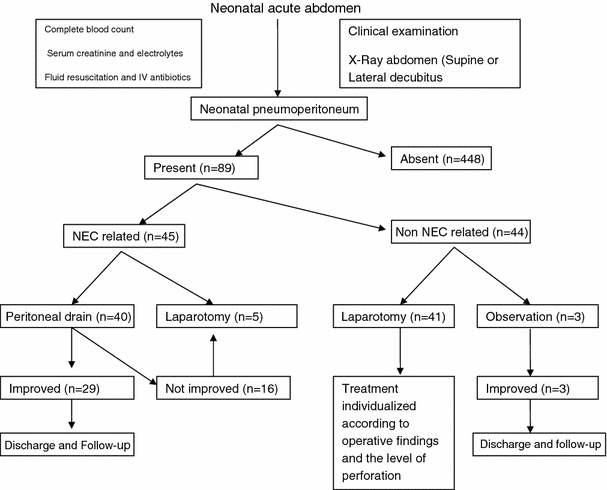 Neonatal pneumoperitoneum: a critical appraisal of its causes and ...
