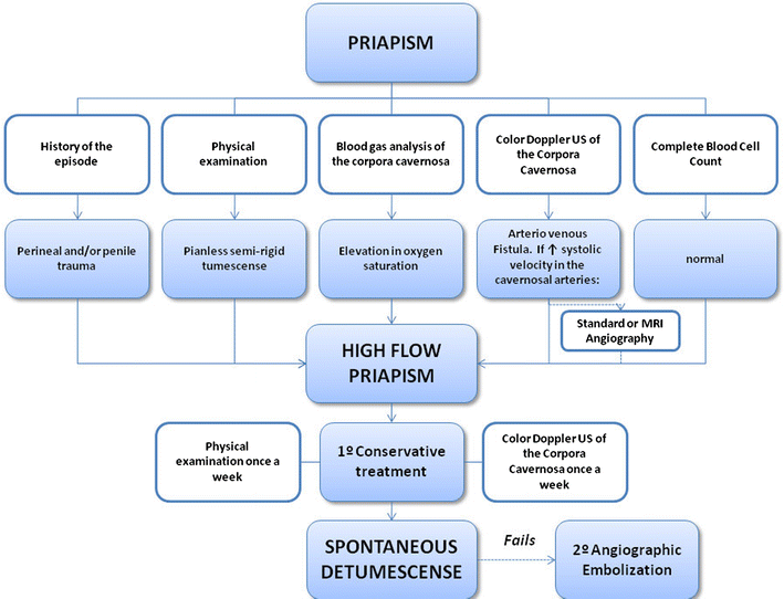 High flow priapism: diagnosis and treatment in pediatric population ...