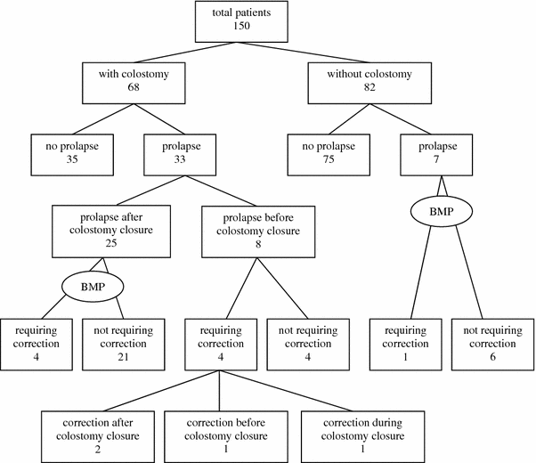 Classification and management of rectal prolapse after anorectoplasty ...