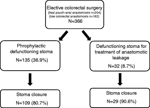 Morbidity related to defunctioning ileostomy closure after ileal pouch ...