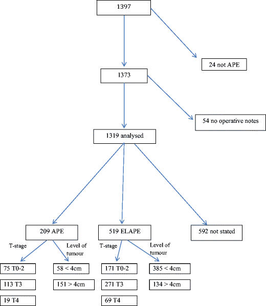 Extralevator abdominoperineal excision (ELAPE) for rectal cancer—short ...