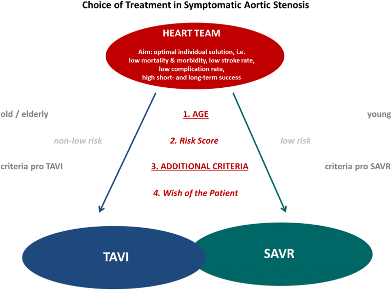 Interdisciplinary consensus on indications for transfemoral ...