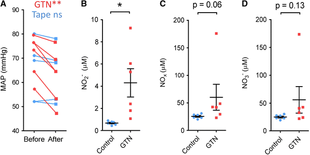 The GTN patch: a simple and effective new approach to cardioprotection ...