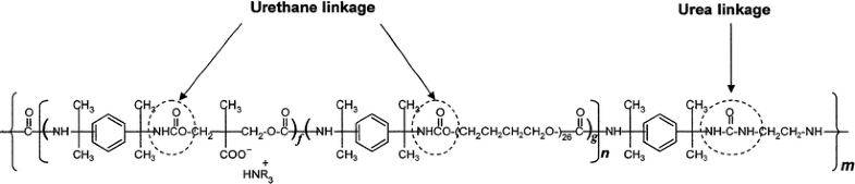 Structure–property relationships of anionic poly(urethane–urea ...