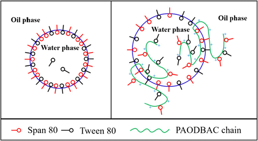 Role of added amphiphilic cationic polymer in the stabilization of ...