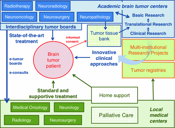 Refined brain tumor diagnostics and stratified therapies: the ...