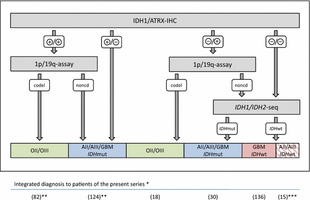 ATRX and IDH1-R132H immunohistochemistry with subsequent copy number ...