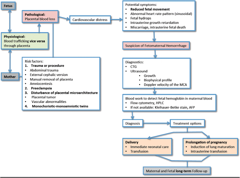 Fetomaternal hemorrhage (FMH), an update: review of literature and an ...