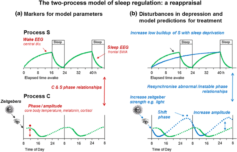 Chronobiological theories of mood disorder | SpringerLink