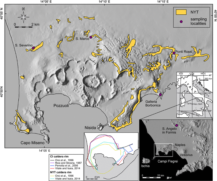 The role of magma mixing/mingling and cumulate melting in the ...