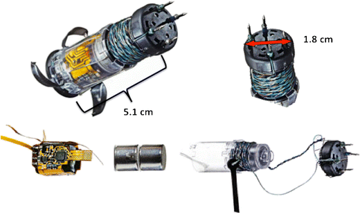 Wound ballistic evaluation of the TASER® XREP ammunition | SpringerLink