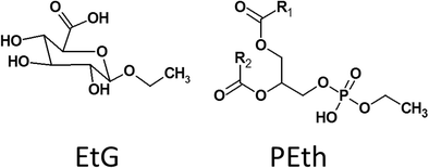 Application of phosphatidylethanol (PEth) in whole blood in comparison ...