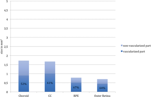 Characteristics of type 1 and 2 CNV in exudative AMD in OCT-Angiography ...