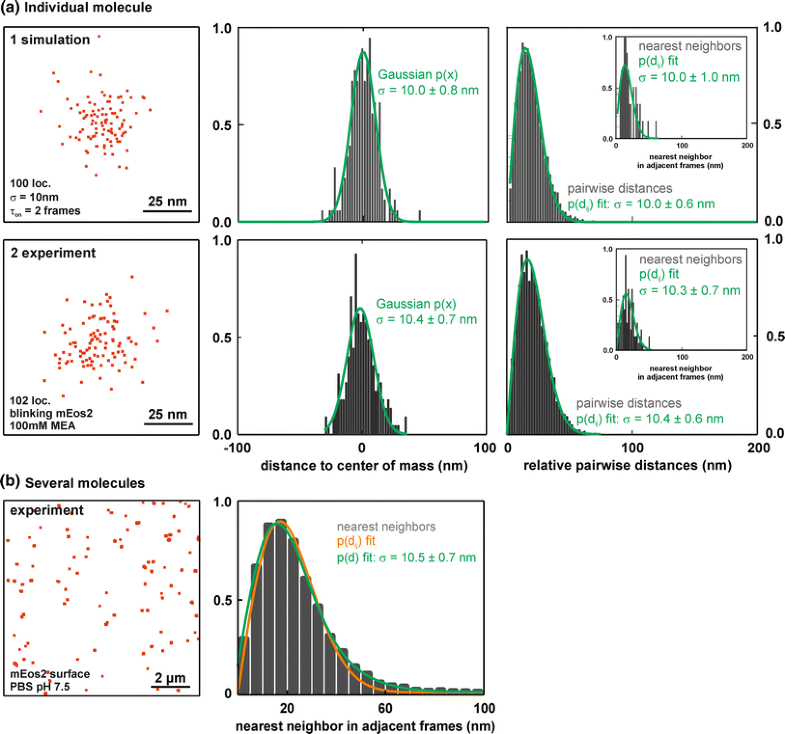 A simple method to estimate the average localization precision of a ...
