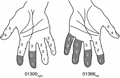 Measurement, evaluation, and assessment of peripheral neurological ...