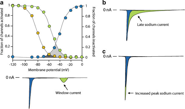 Cardiac sodium channelopathies | SpringerLink