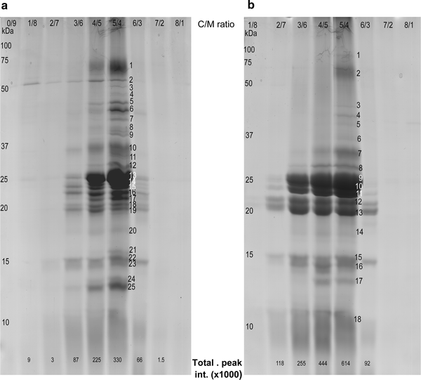 Evaluation of chloroform/methanol extraction to facilitate the study of ...
