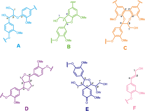 Analysis of lignin–carbohydrate and lignin–lignin linkages after ...