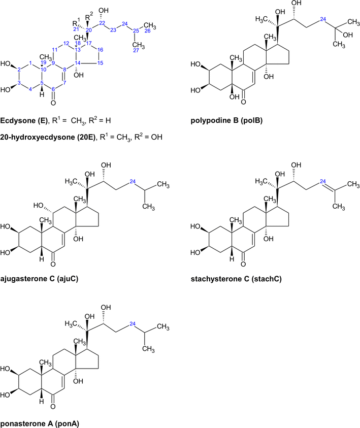 Plant ecdysteroids: plant sterols with intriguing distributions ...