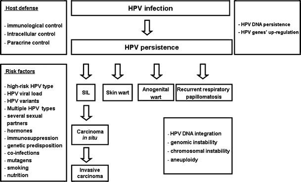 Human papilloma virus (HPV) infection in children and adolescents ...