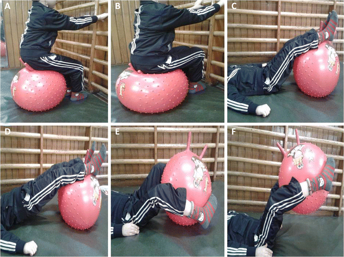 Combined functional pelvic floor muscle exercises with Swiss ball and ...