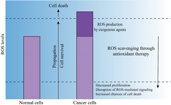 ROS-modulated therapeutic approaches in cancer treatment | SpringerLink