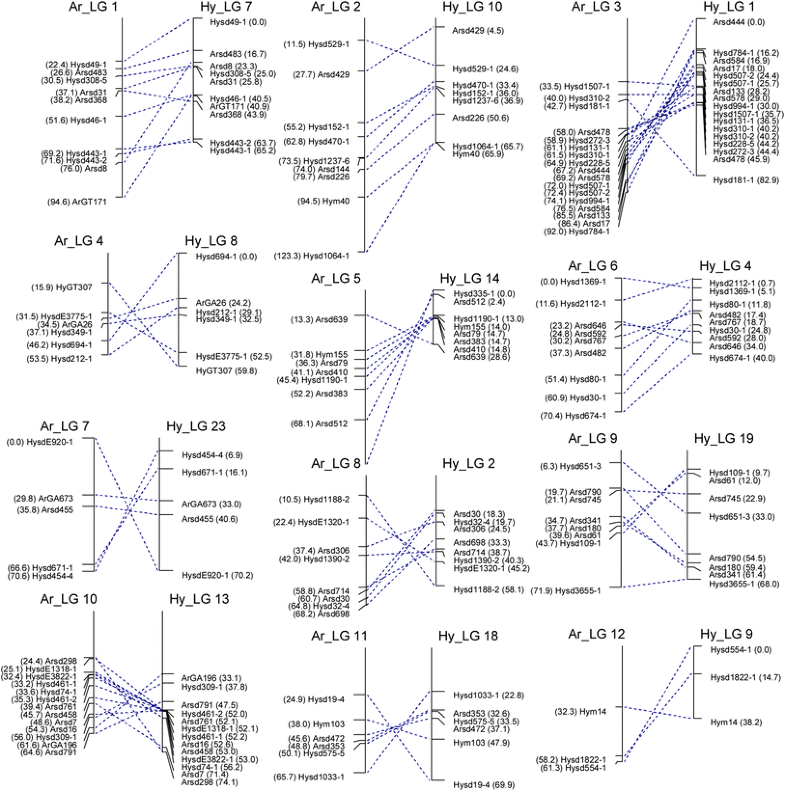 Comparative mapping for bighead carp ( Aristichthys nobilis) against ...