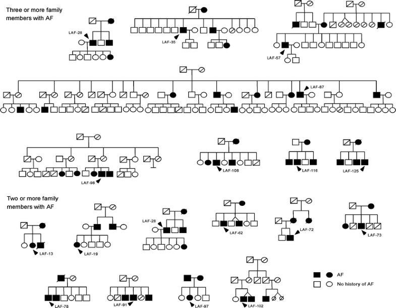 Familial aggregation in lone atrial fibrillation | SpringerLink