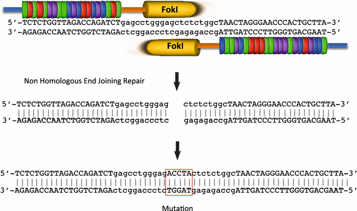 TALEN gene editing takes aim on HIV | SpringerLink